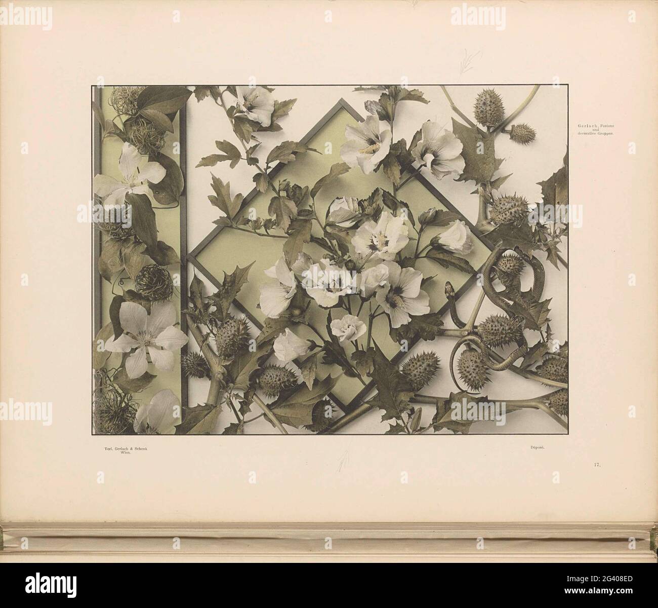 Faces with clematis, datura, marshmallow and a snake Stock Photo - Alamy