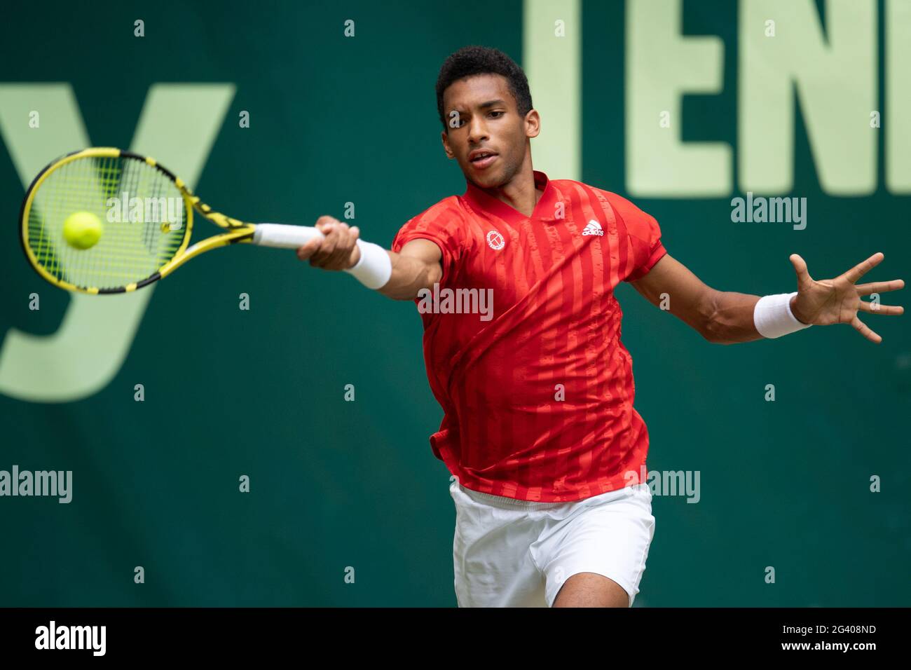 Halle, Germany. 18 June 2021: Tennis: ATP Tour - Halle/Westfalen, Singles, Men, Quarterfinals ...