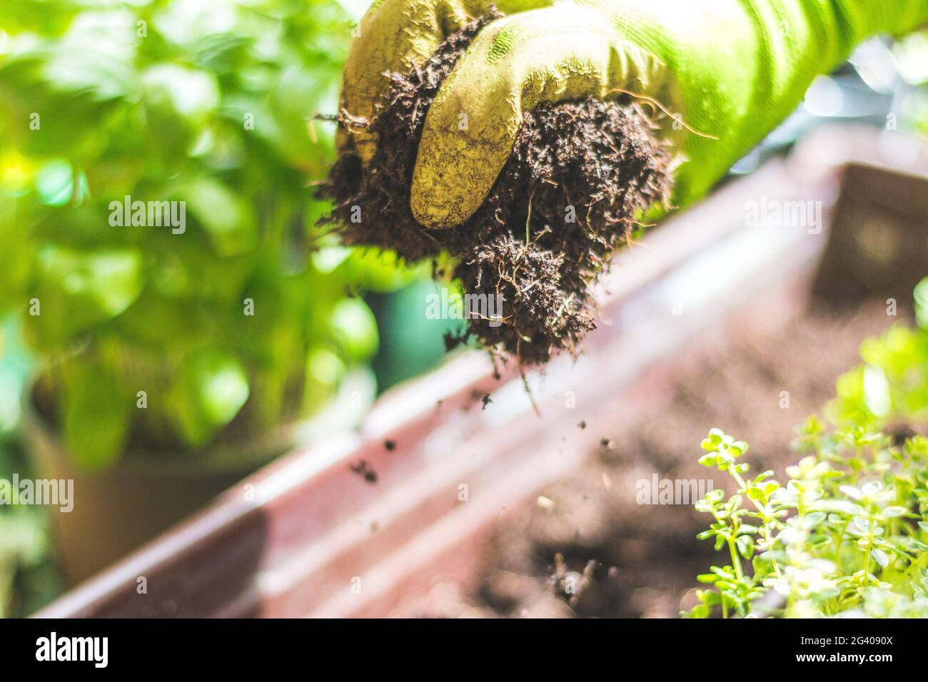 Fruitful soil hi-res stock photography and images - Alamy