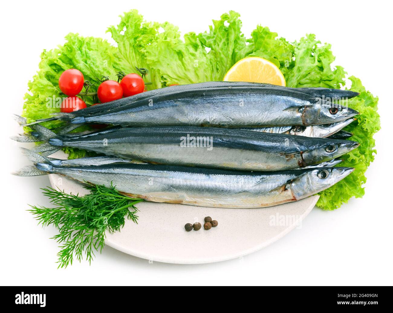 Salty Cololabis saira Stock Photo - Alamy