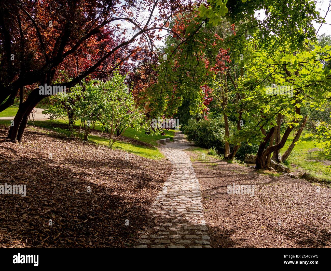 Natural view of a pavement pathway in a park during sum Stock Photo - Alamy