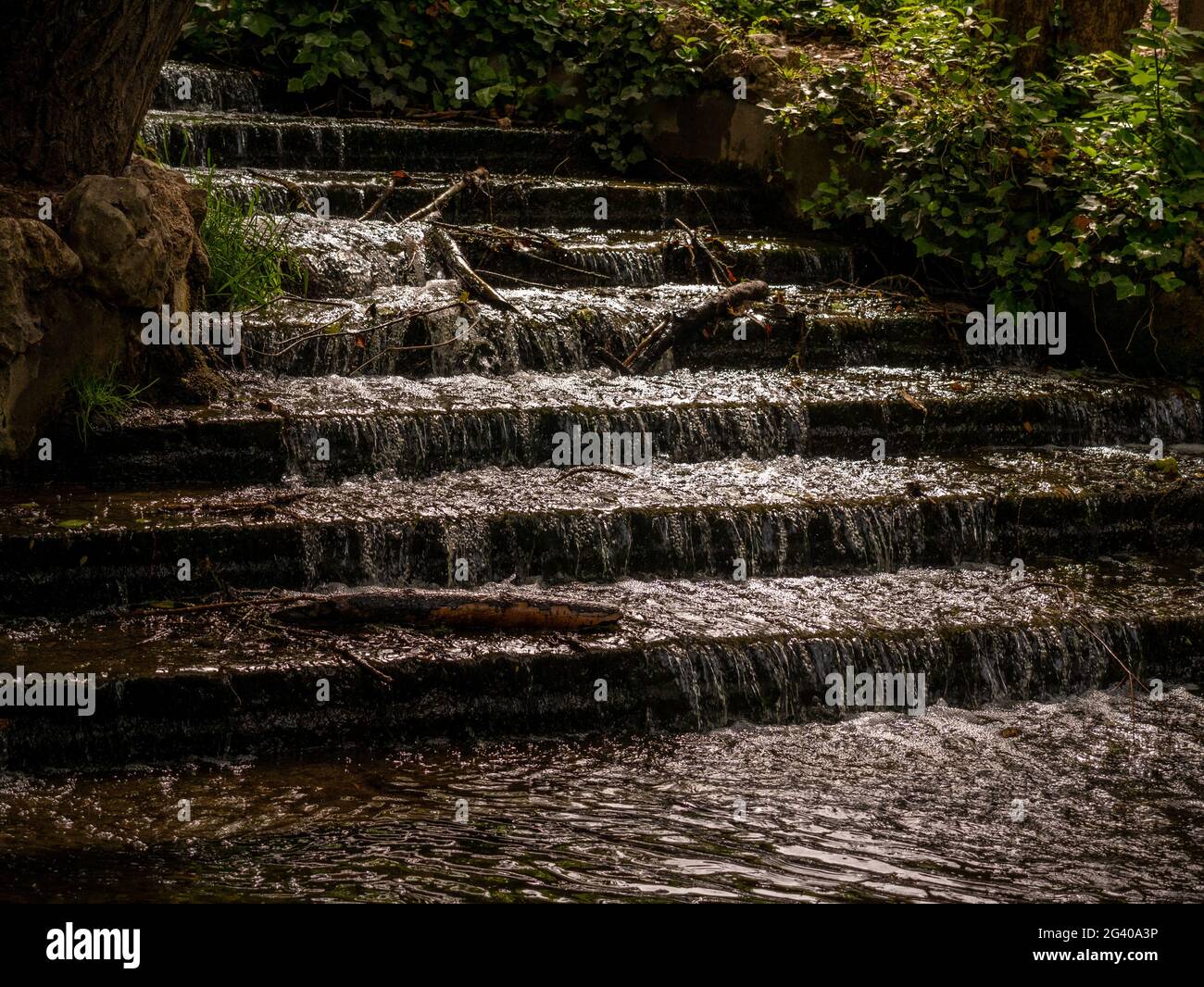 Natural view of water flowing on a stairway in a park Stock Photo - Alamy