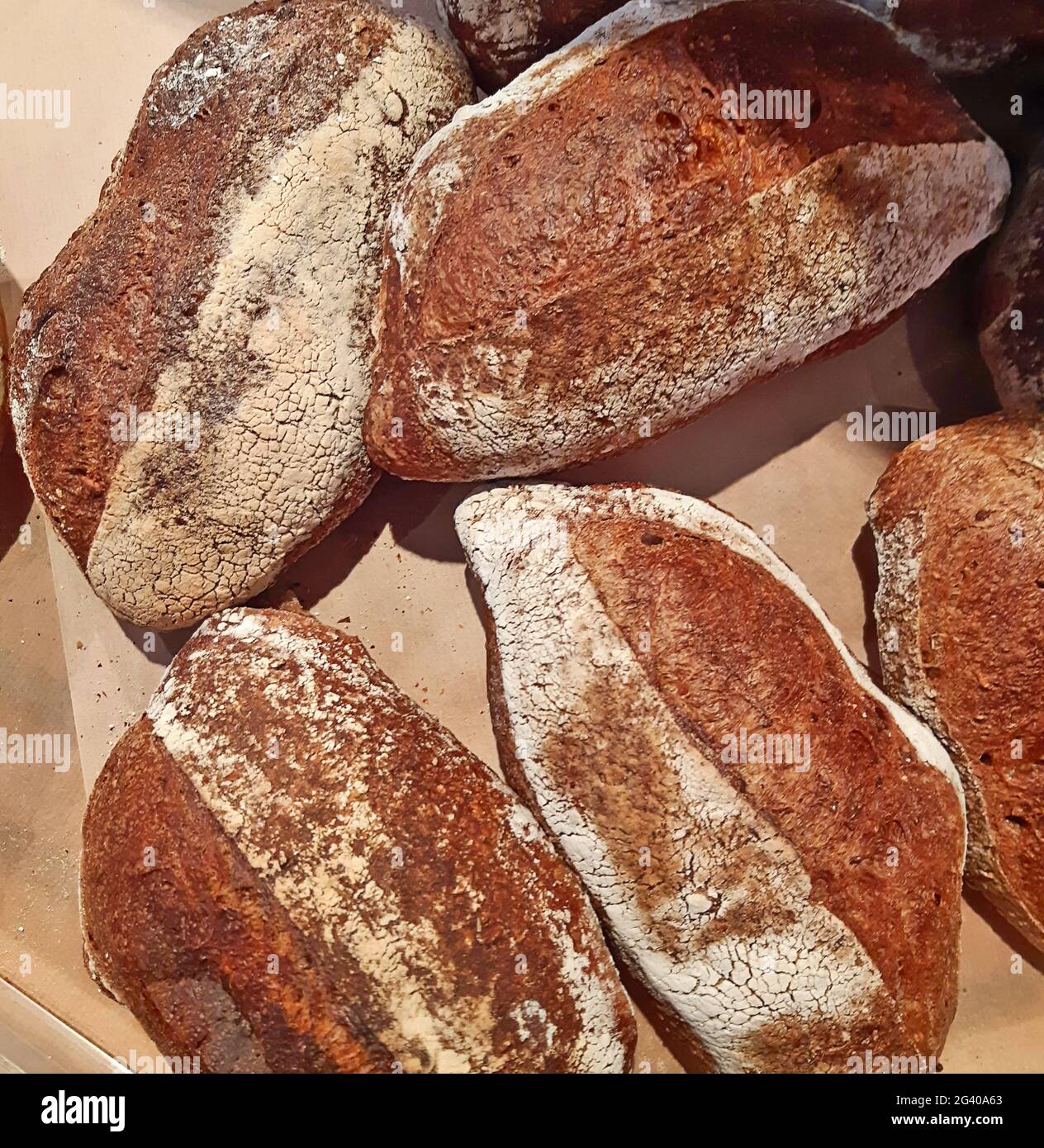 Real whole grain rye, oats and wheat bread Stock Photo - Alamy
