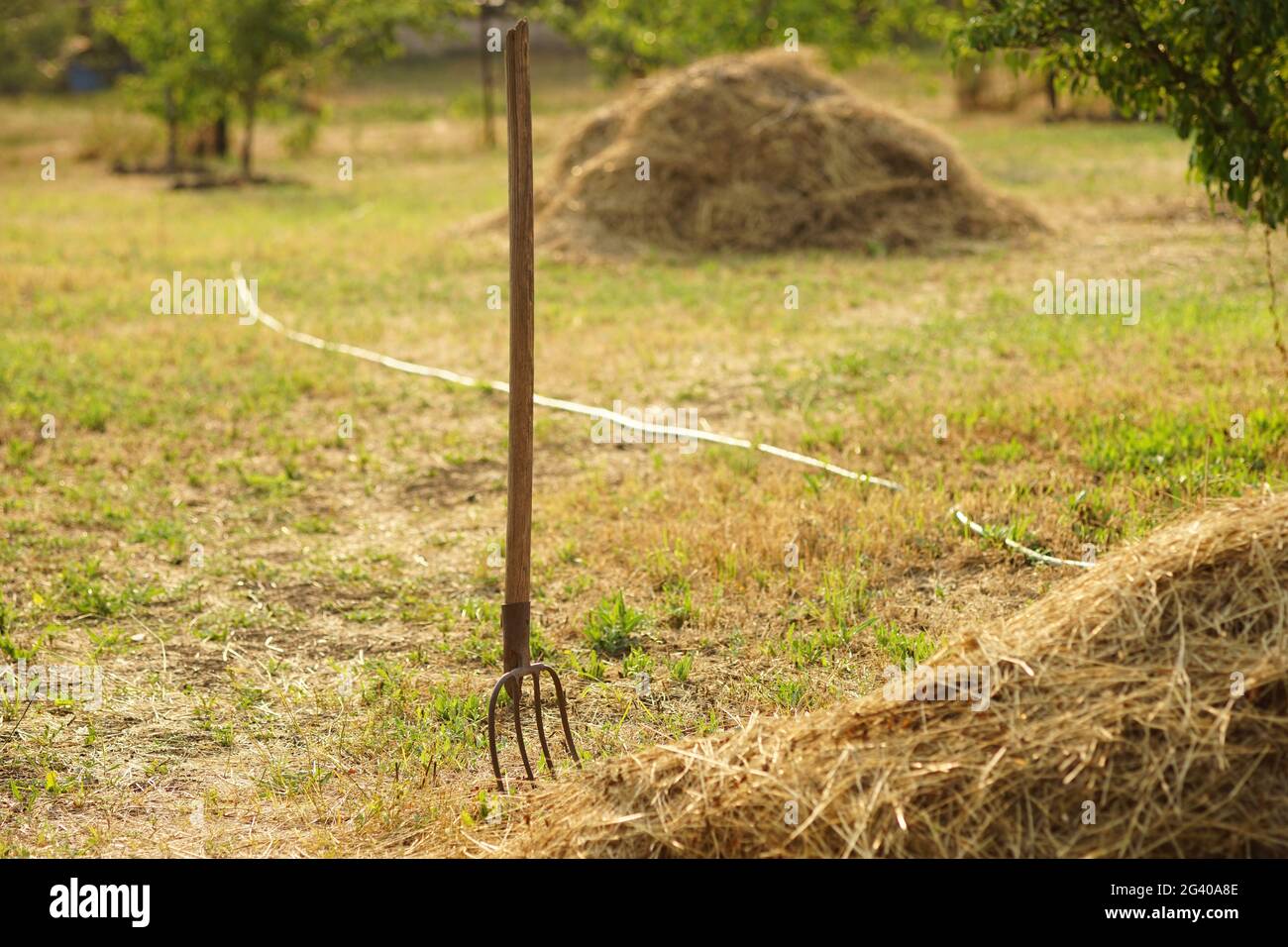 Old Pitchfork High Resolution Stock Photography and Images - Alamy