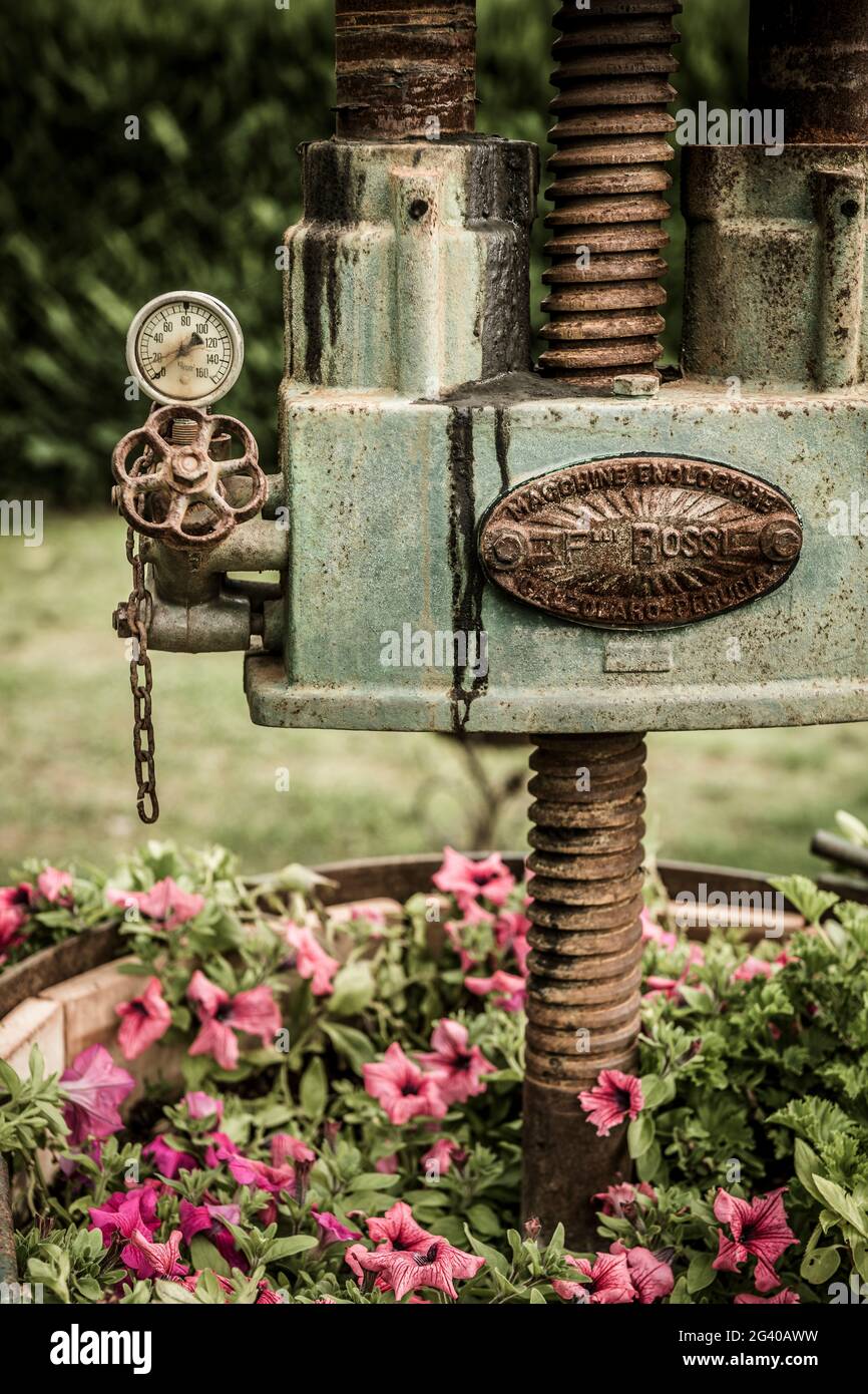 Olive presses hi-res stock photography and images - Alamy