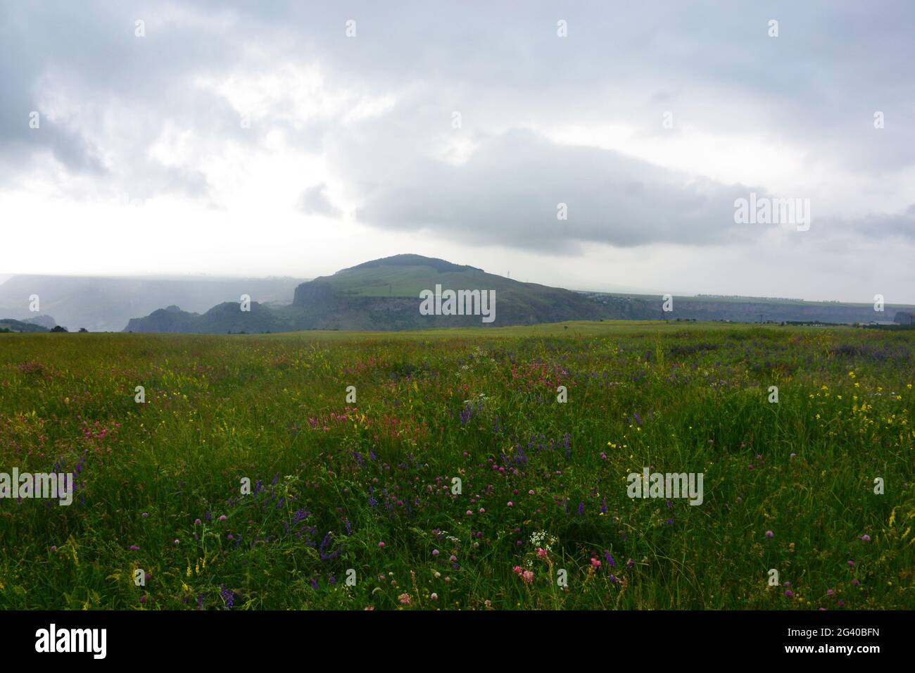 Fields and meadows before thunderstorm Stock Photo - Alamy