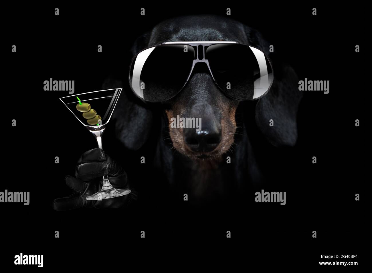 Dog With Martini High Resolution Stock Photography and Images - Alamy