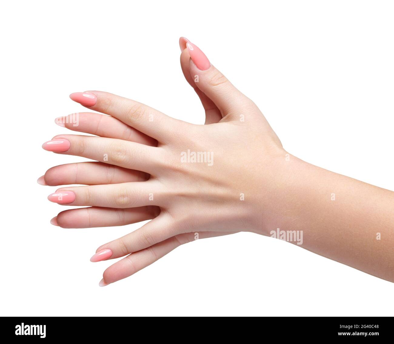 Professional Female Hand Model