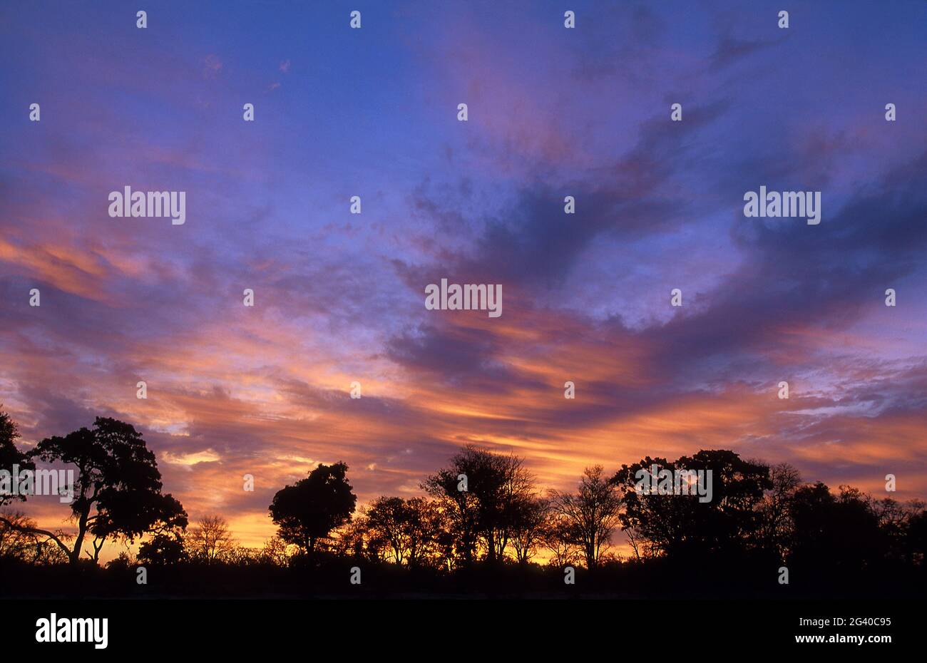 BOTSWANA, SUNSET ON OKAVANGO DELTA Stock Photo - Alamy