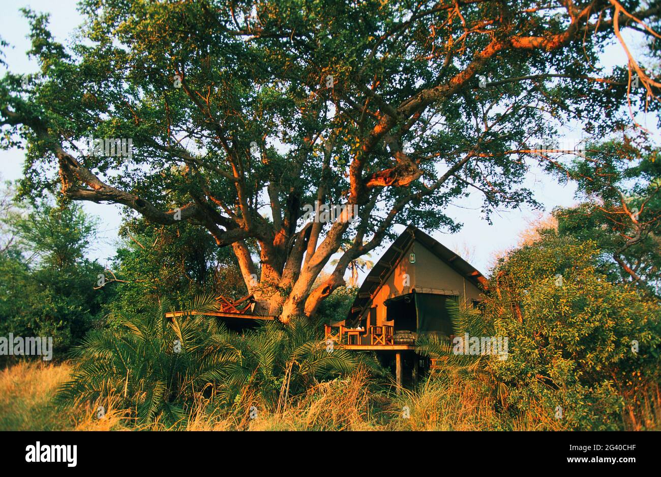BOTSWANA. OKAVANGO DELTA. ABU CAMP (ONE OF THE MOST EXCLUSIVE LODGES IN ...