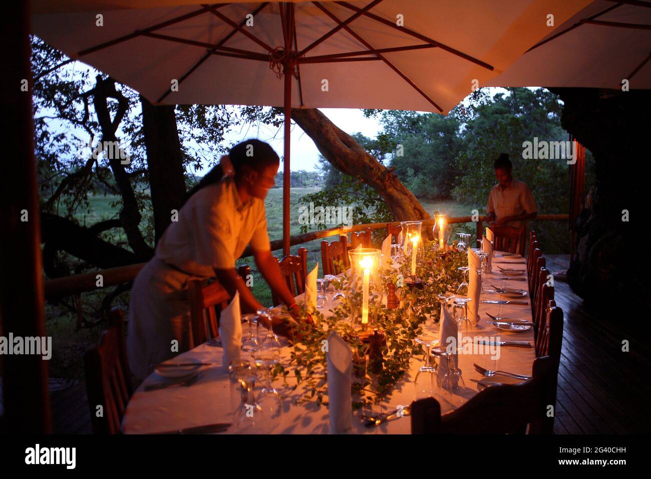BOTSWANA. OKAVANGO DELTA. DINNER AT ABU CAMP (ONE OF THE MOST EXCLUSIVE ...