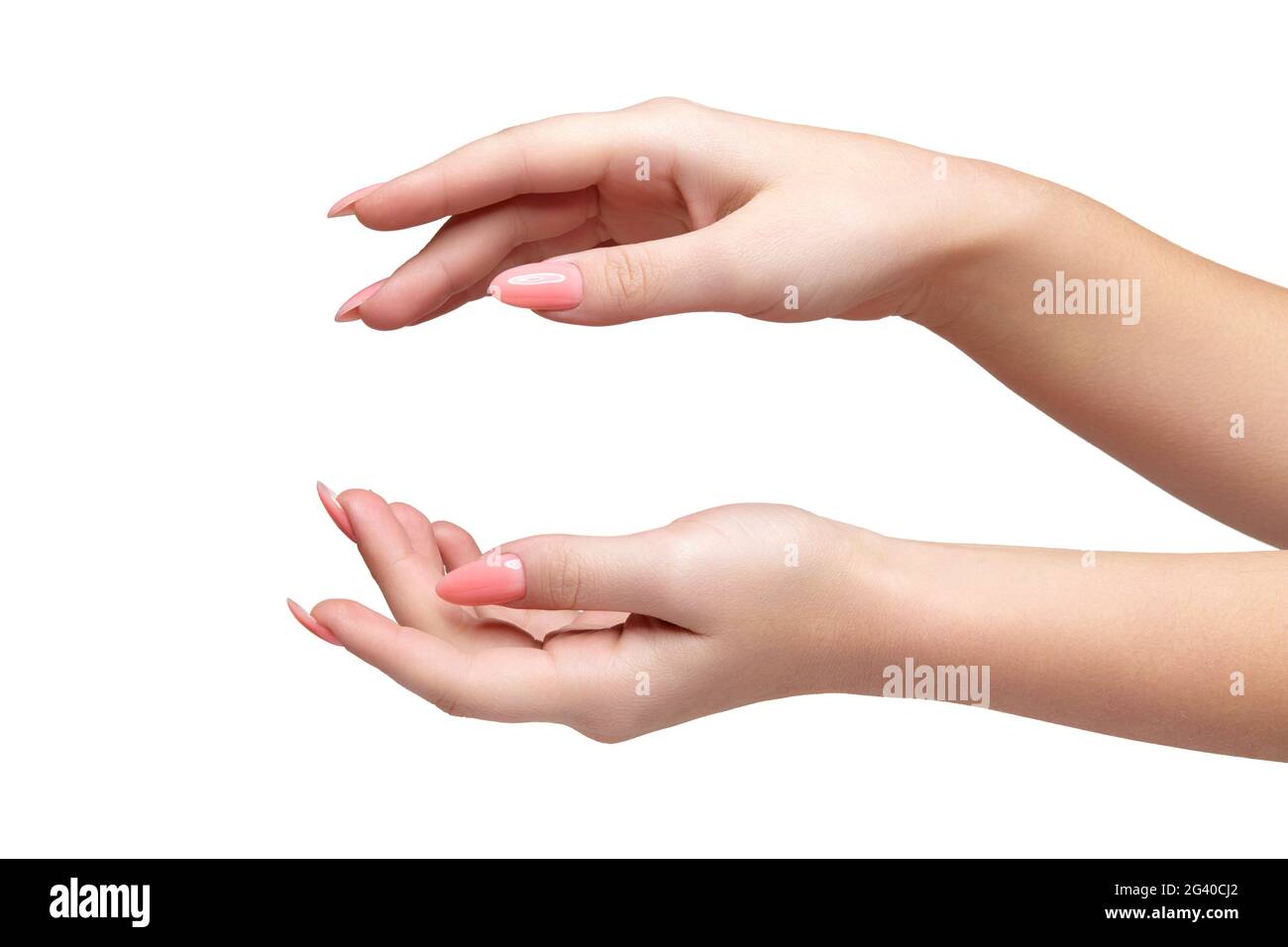 Female hands with woman's professional natural perfect nails manicure ...