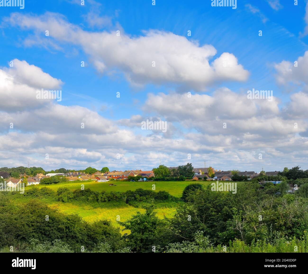 Beautiful bright colorful summer landscape Stock Photo - Alamy