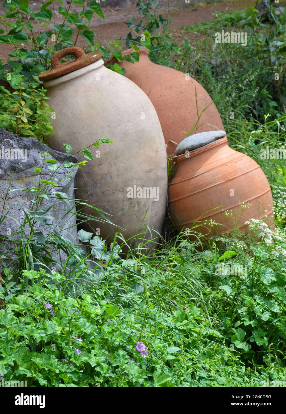 Old clay jugs in a garden Stock Photo - Alamy