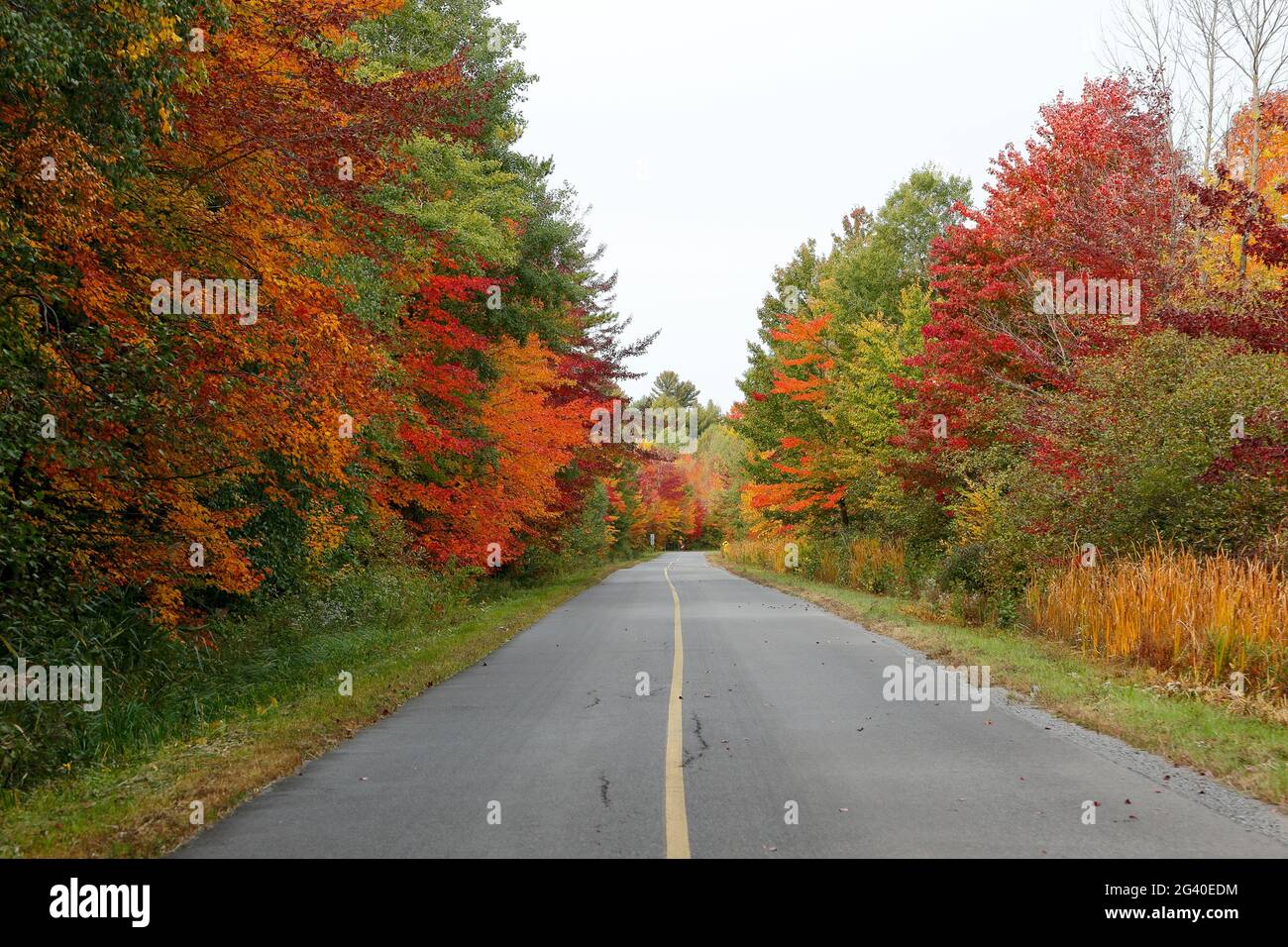 Country road in autumn, Quebec, Canada Stock Photo - Alamy