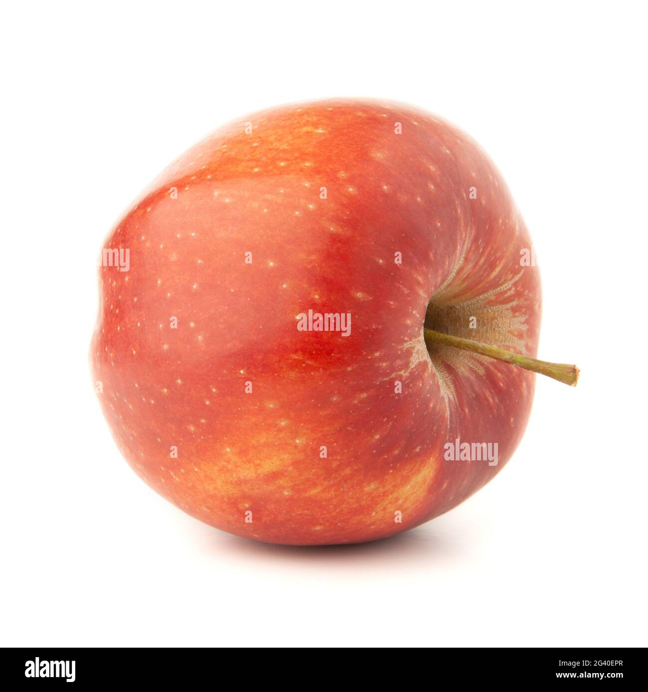 Red apple on a white background with a shadow Stock Photo - Alamy