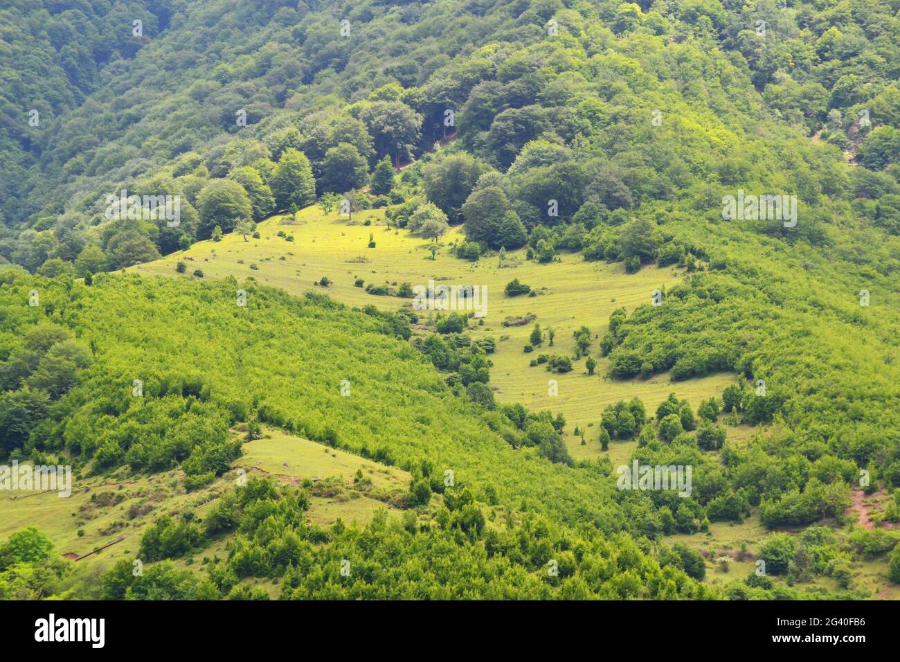 Beautiful nature hills green forest hi-res stock photography and images ...