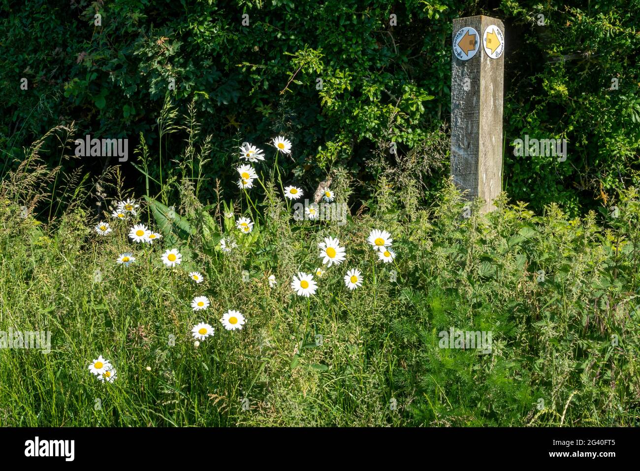Rural recreation hi-res stock photography and images - Alamy
