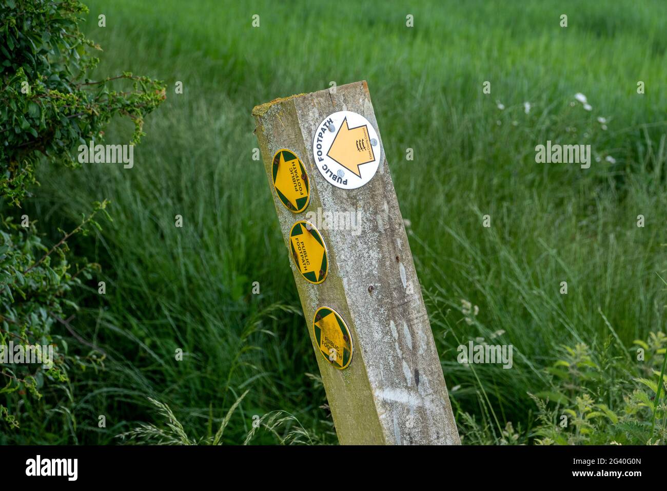 Public footpath sign in rural setting Stock Photo - Alamy
