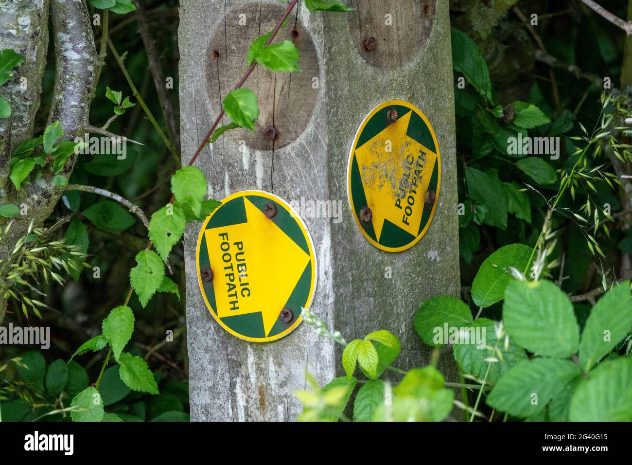 Public footpath sign in rural setting Stock Photo - Alamy