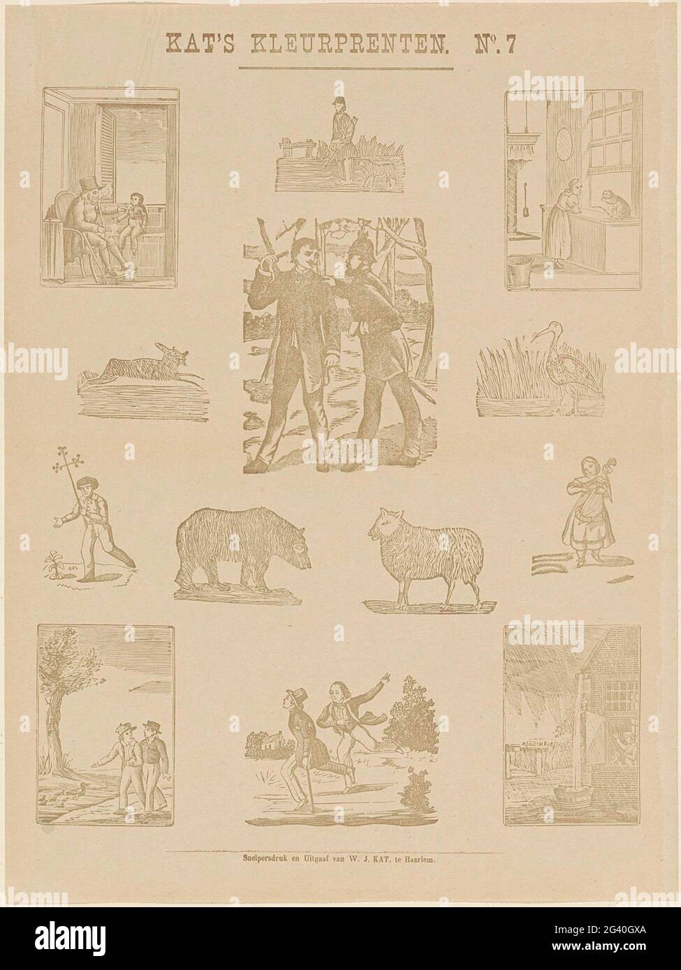 Cats bear hi-res stock photography and images - Alamy