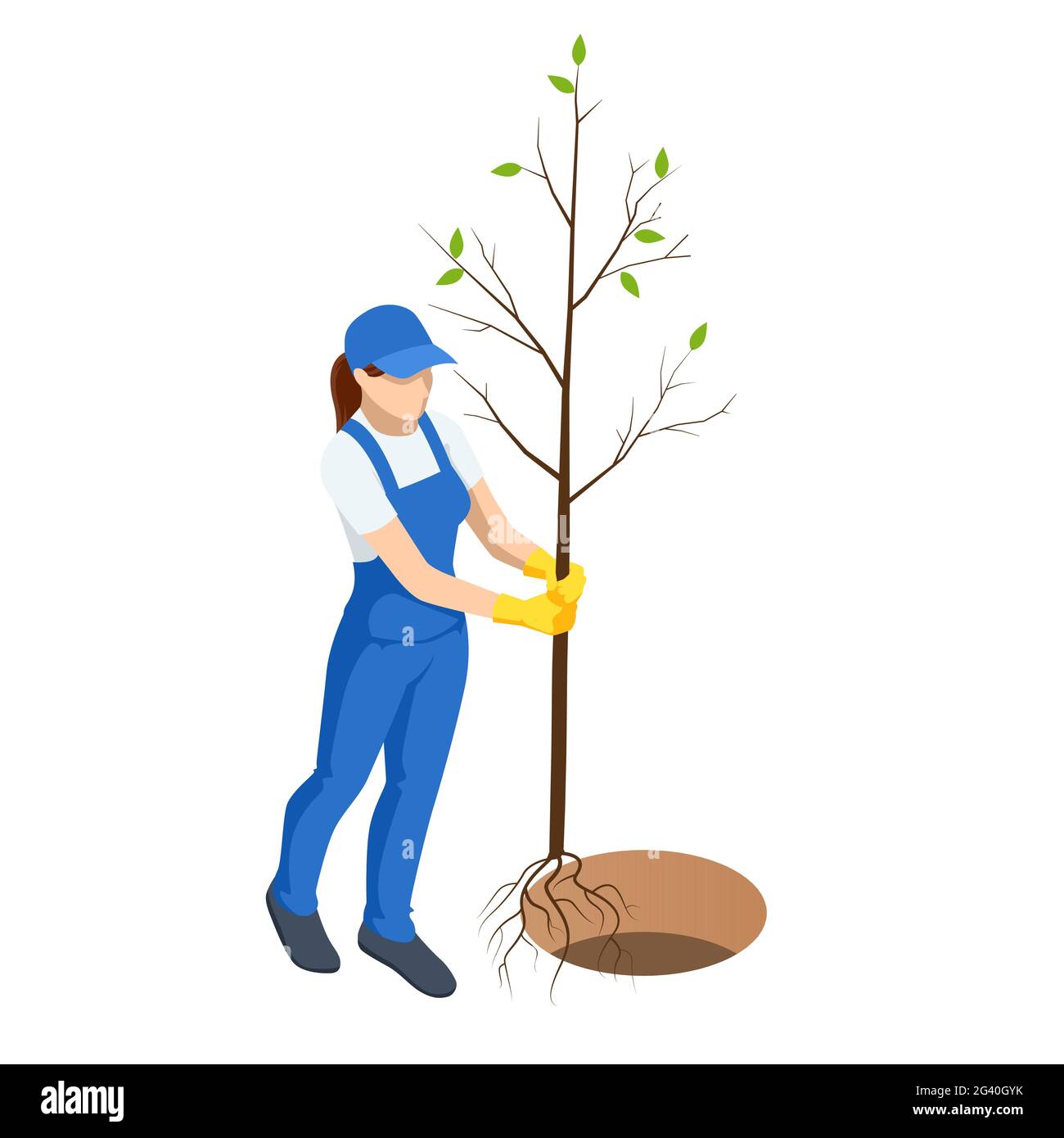 Tree planting tree planting initiative Stock Vector Images - Alamy