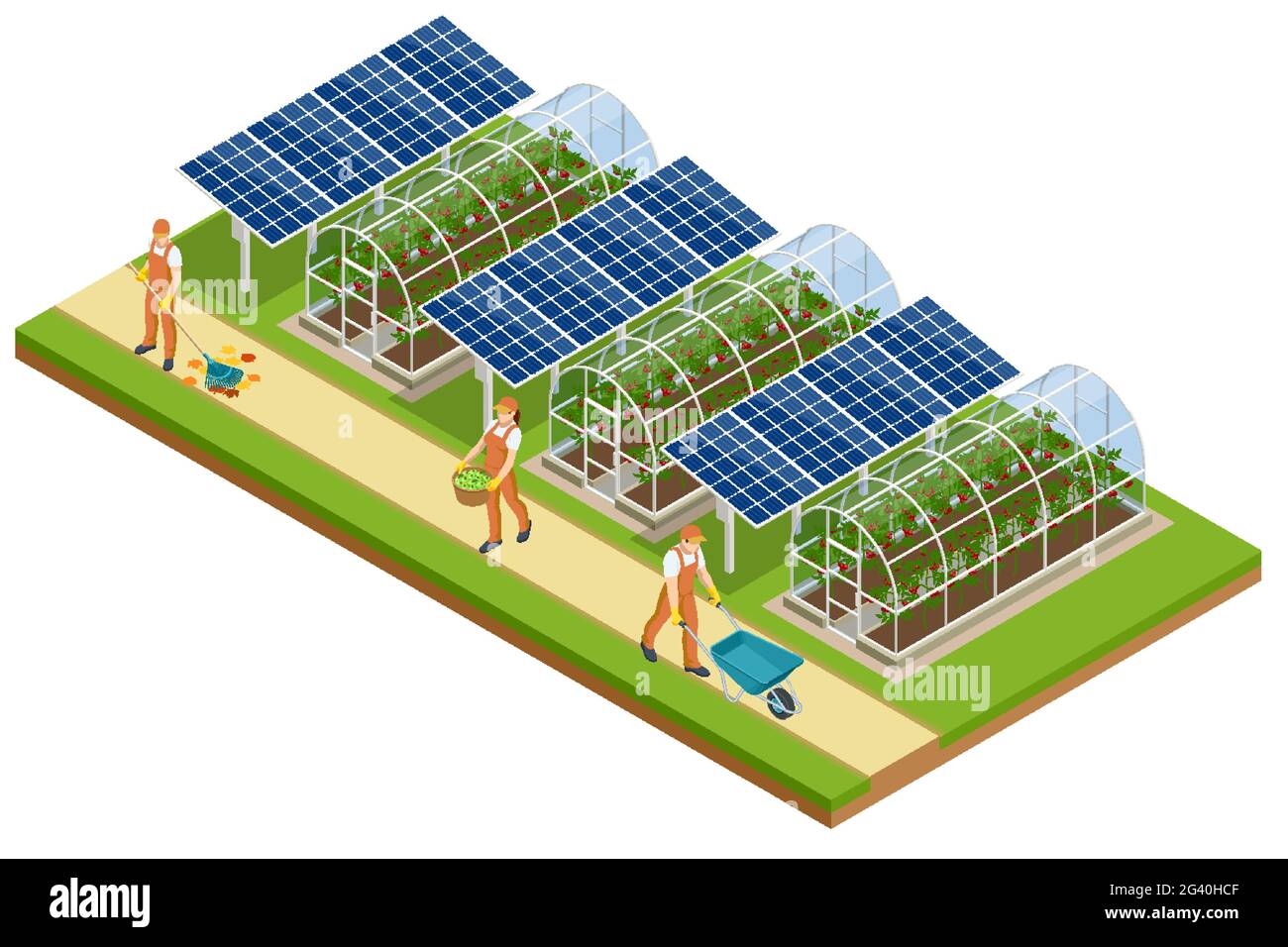 Isometric Greenhouse isolated on white. Growing seedlings in glasshouse ...