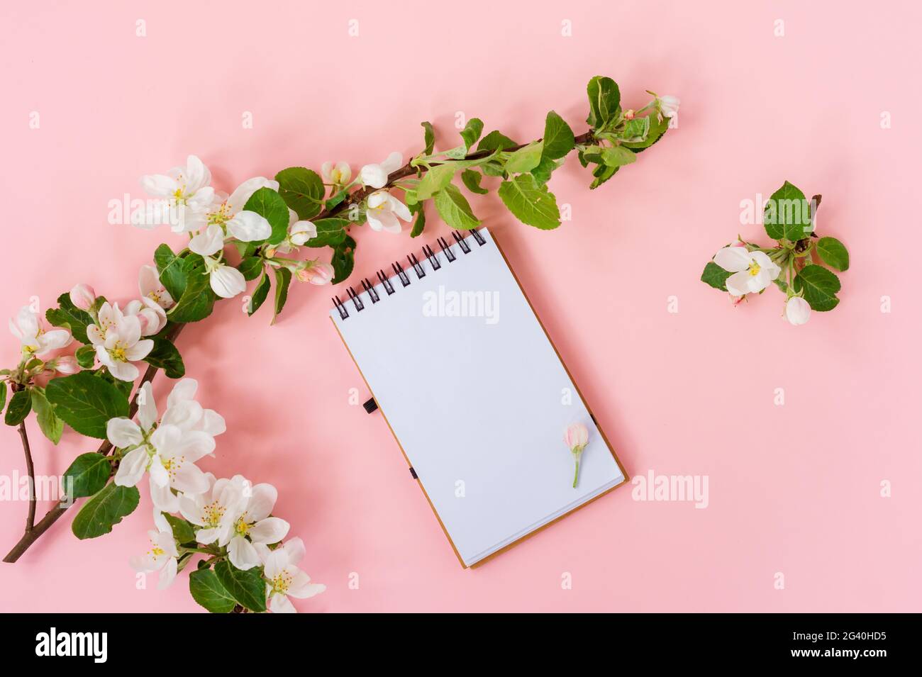 Creative flat lay of blank spiral notepad frame mock up and apple tree ...