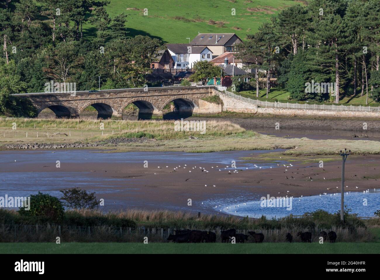 Bridge across estuary hi-res stock photography and images - Alamy