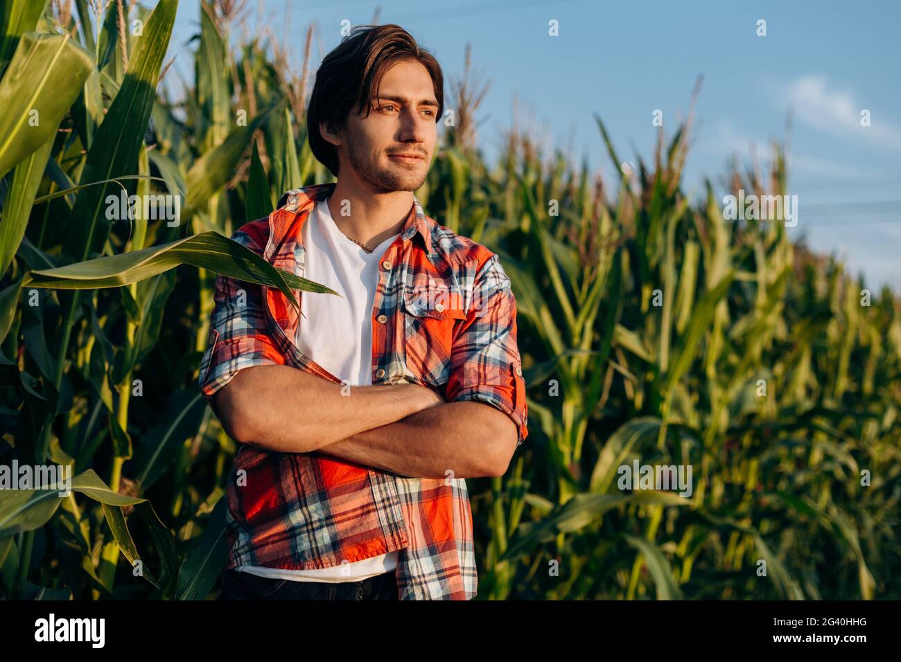 Red and green checkered shirt hi-res stock photography and images - Alamy