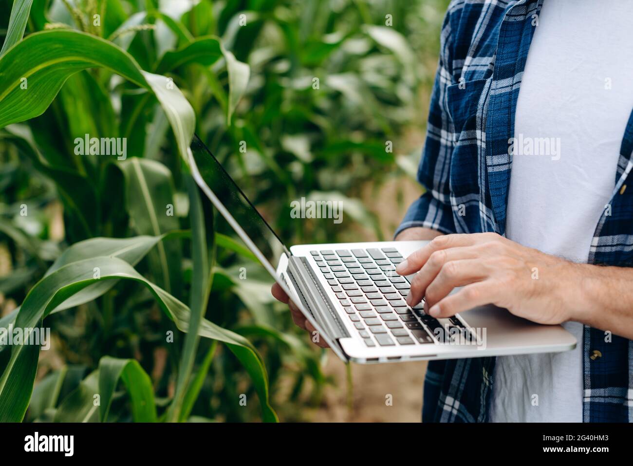 The concept of modern technologies in agribusiness. An agronomist works ...