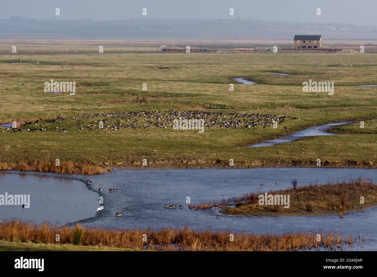 Elmley marsh hi-res stock photography and images - Alamy