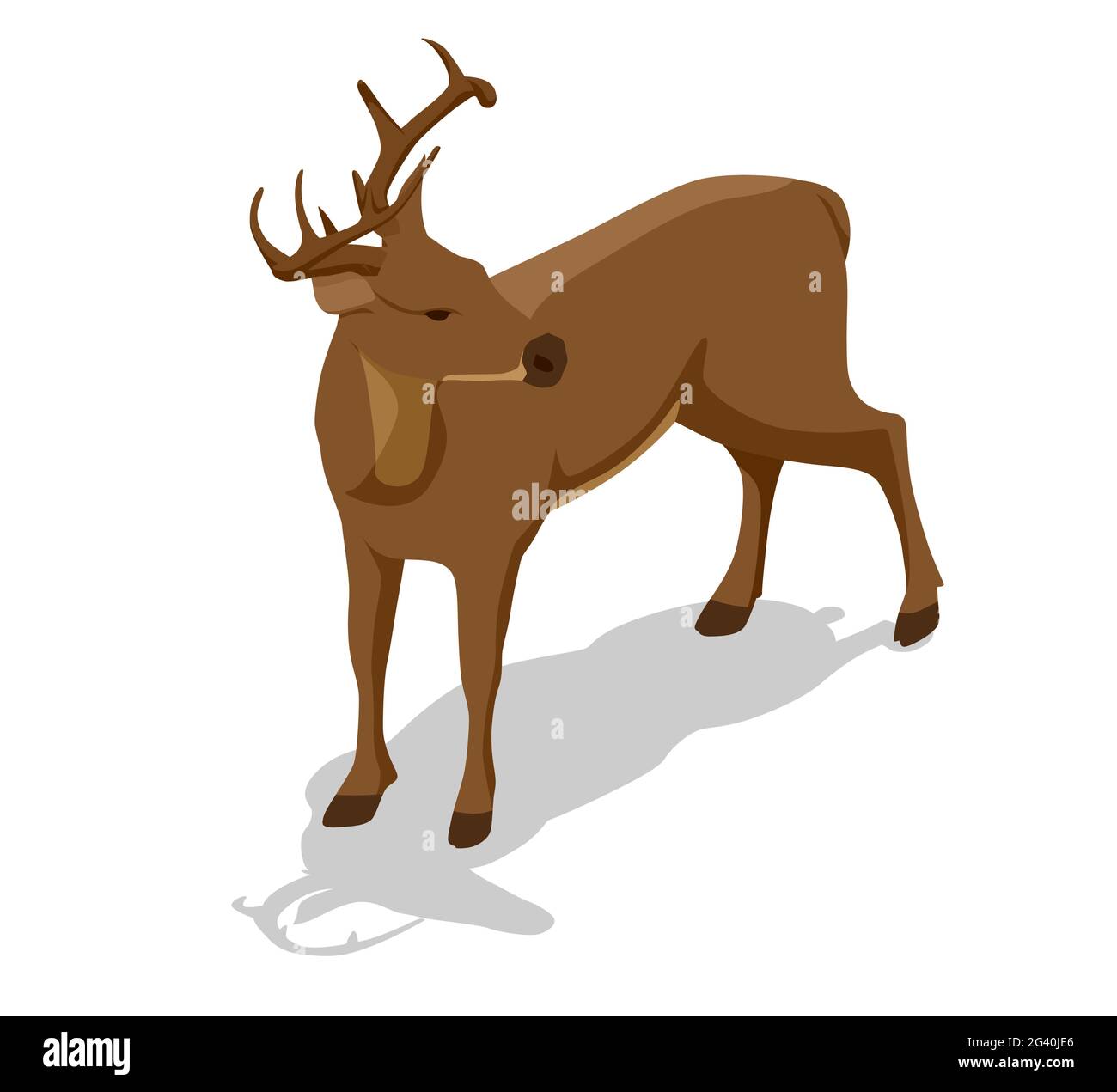 Isometric deer front view illustration. Proud Noble Deer male isolated ...