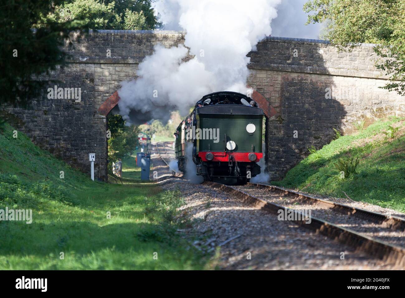Bluebell railway steam locomotive hi-res stock photography and images ...