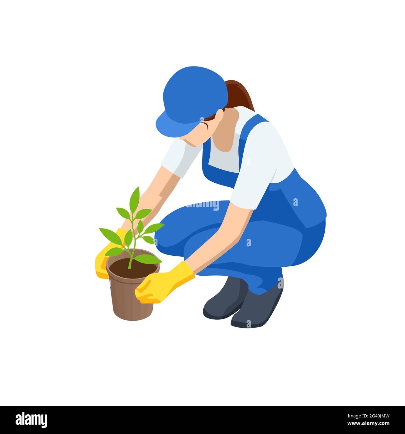 Agricultural work. Isometric seedling transplanting process. Young ... Agricultural work. Isometric seedling transplanting process. Young ...