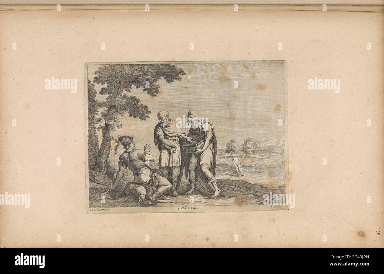 Dentatus refuses hi-res stock photography and images - Alamy