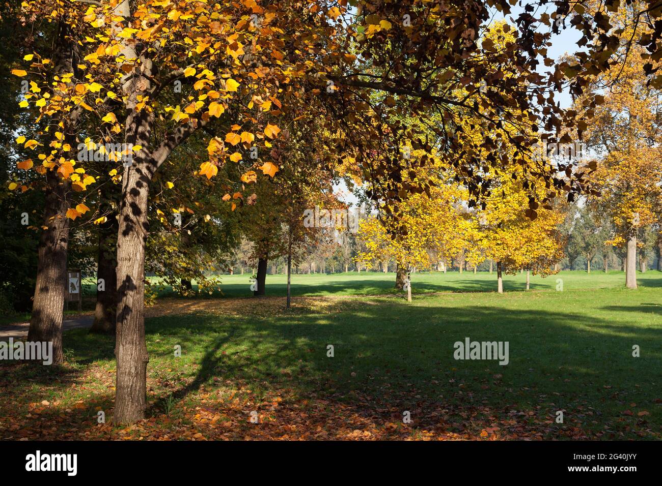 Parco of monza hi-res stock photography and images - Alamy