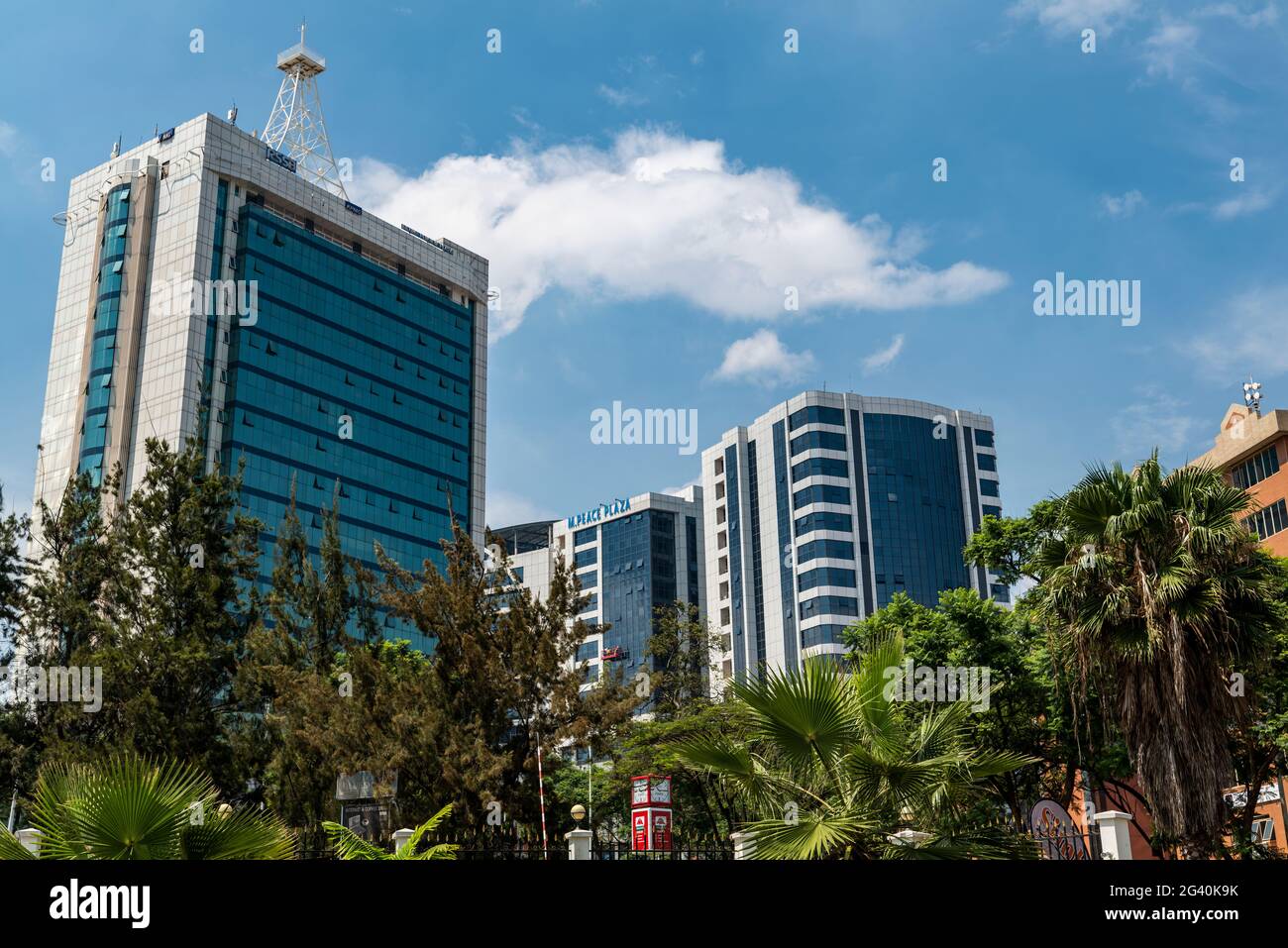 Palm trees and high-rise office buildings in the city center, Kigali ...