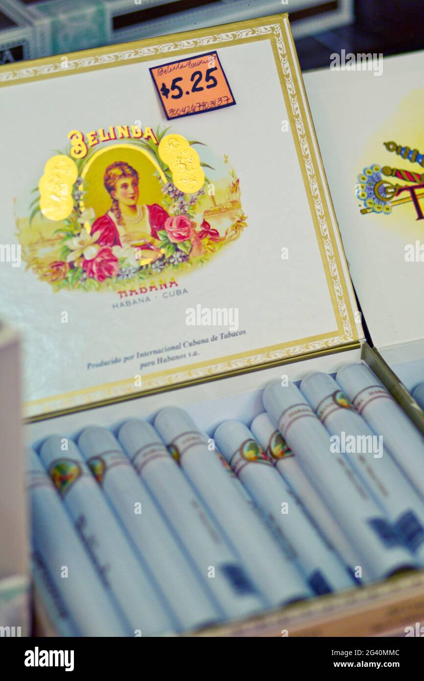 Detail of Cuba Cigars in a box in Havana, Cuba Stock Photo - Alamy