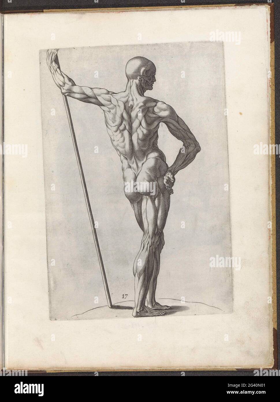 Drawing example of a standing Écorché on the back; Varie Figvre ...