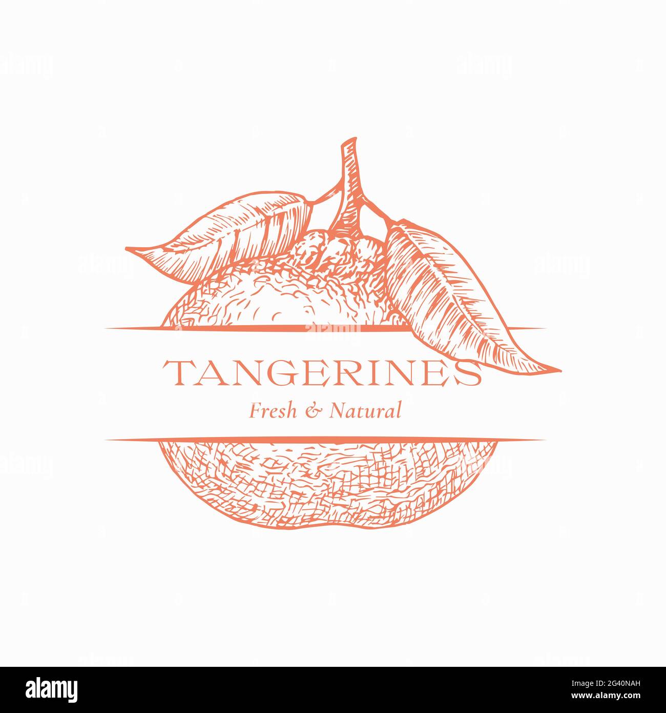 Tangerine logo Stock Vector Images - Alamy