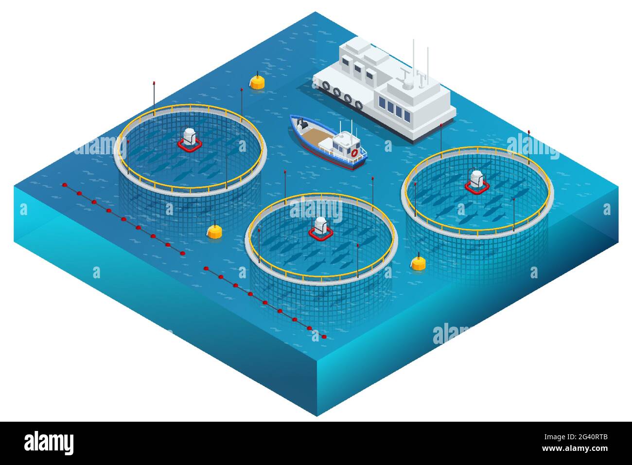 Isometric Fish Farm. Producing Trout and Salmon, Carp, Tilapia, and ...