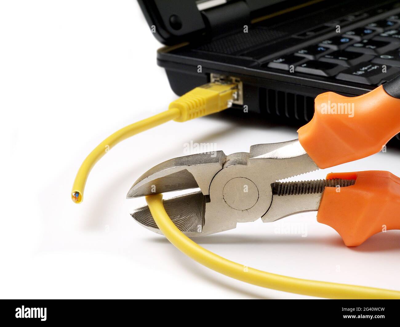 cut network cable from laptop on white background Stock Photo - Alamy