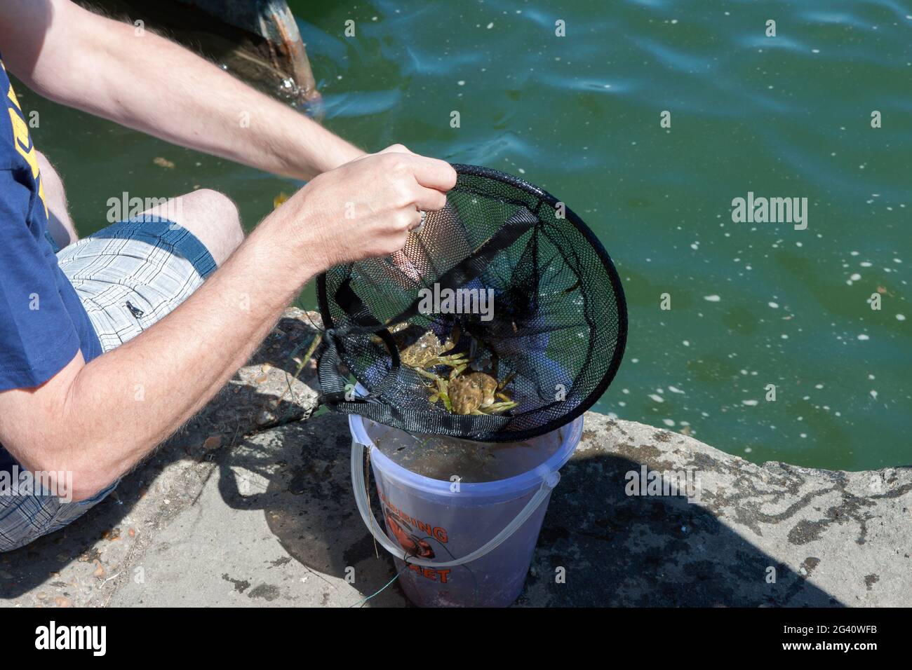 Dad showing children how to catch crabs Stock Photo - Alamy