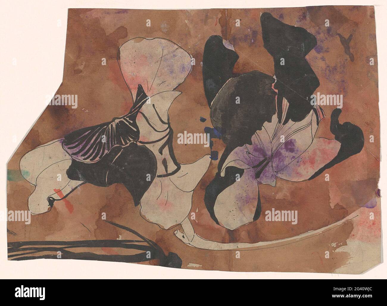 Flower study Stock Photo - Alamy