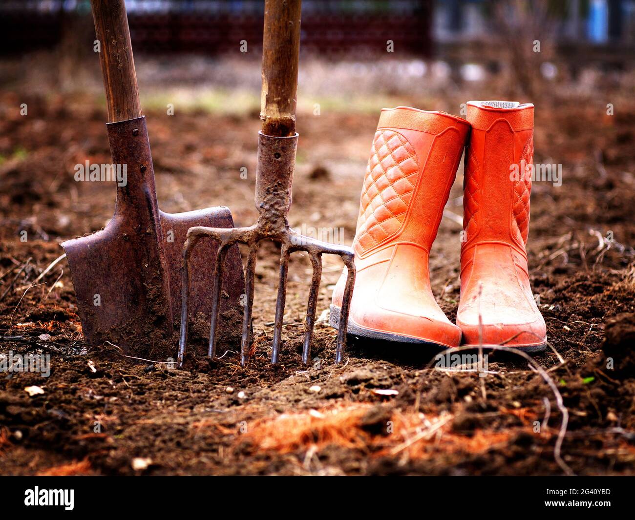 Orange rubber boots gardening hi-res stock photography and images - Alamy
