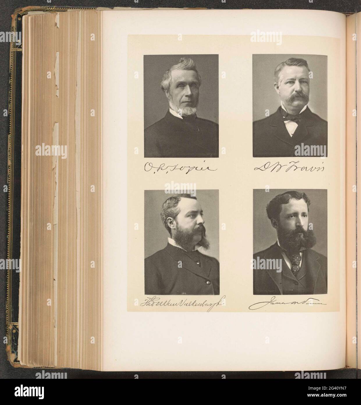 Portraits of four members of the Lower House of the State New York. Top ...