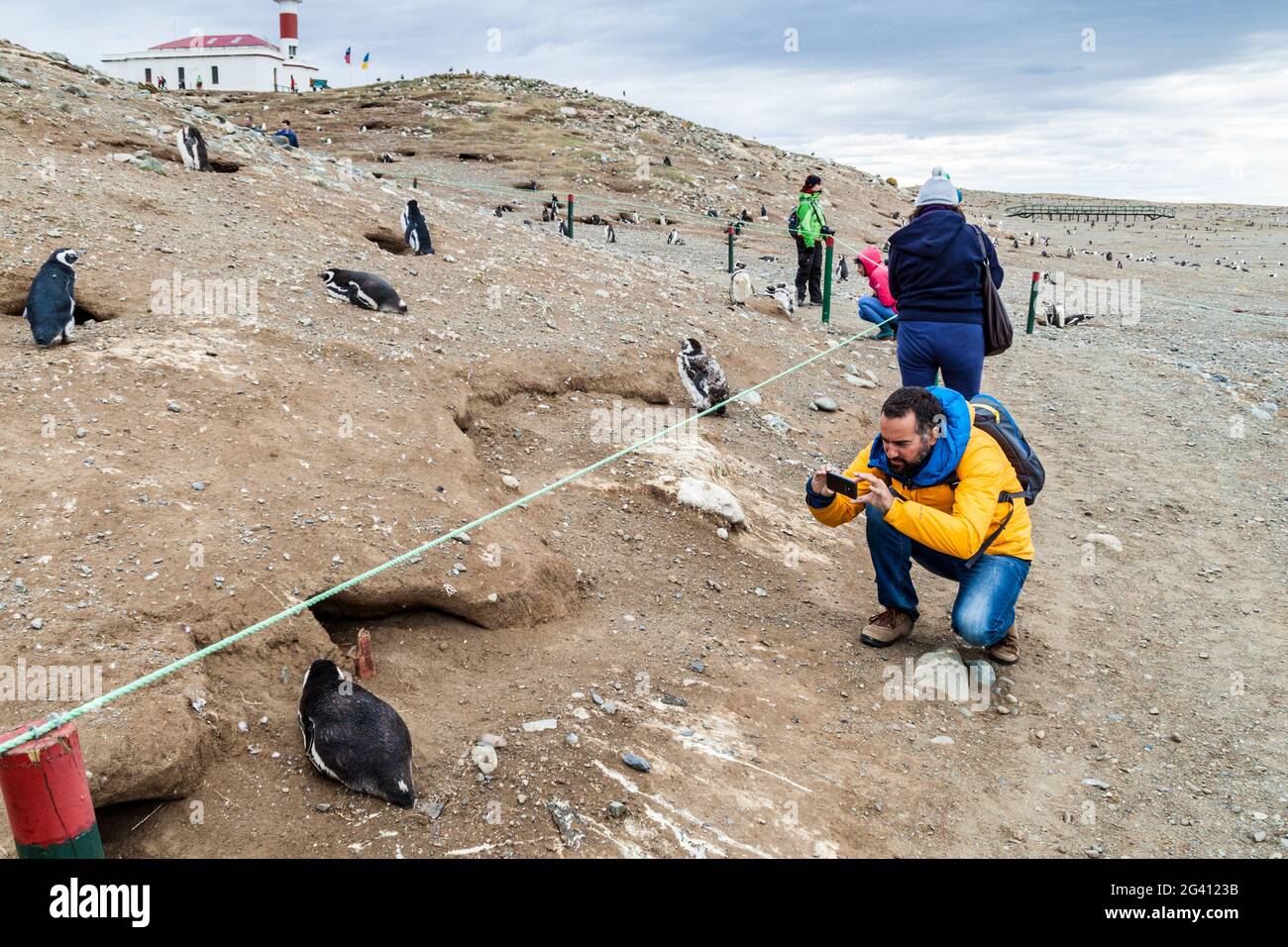 ISLA MAGDALENA, CHILE - MARCH 4, 2015: Tourist take a photo of a ...