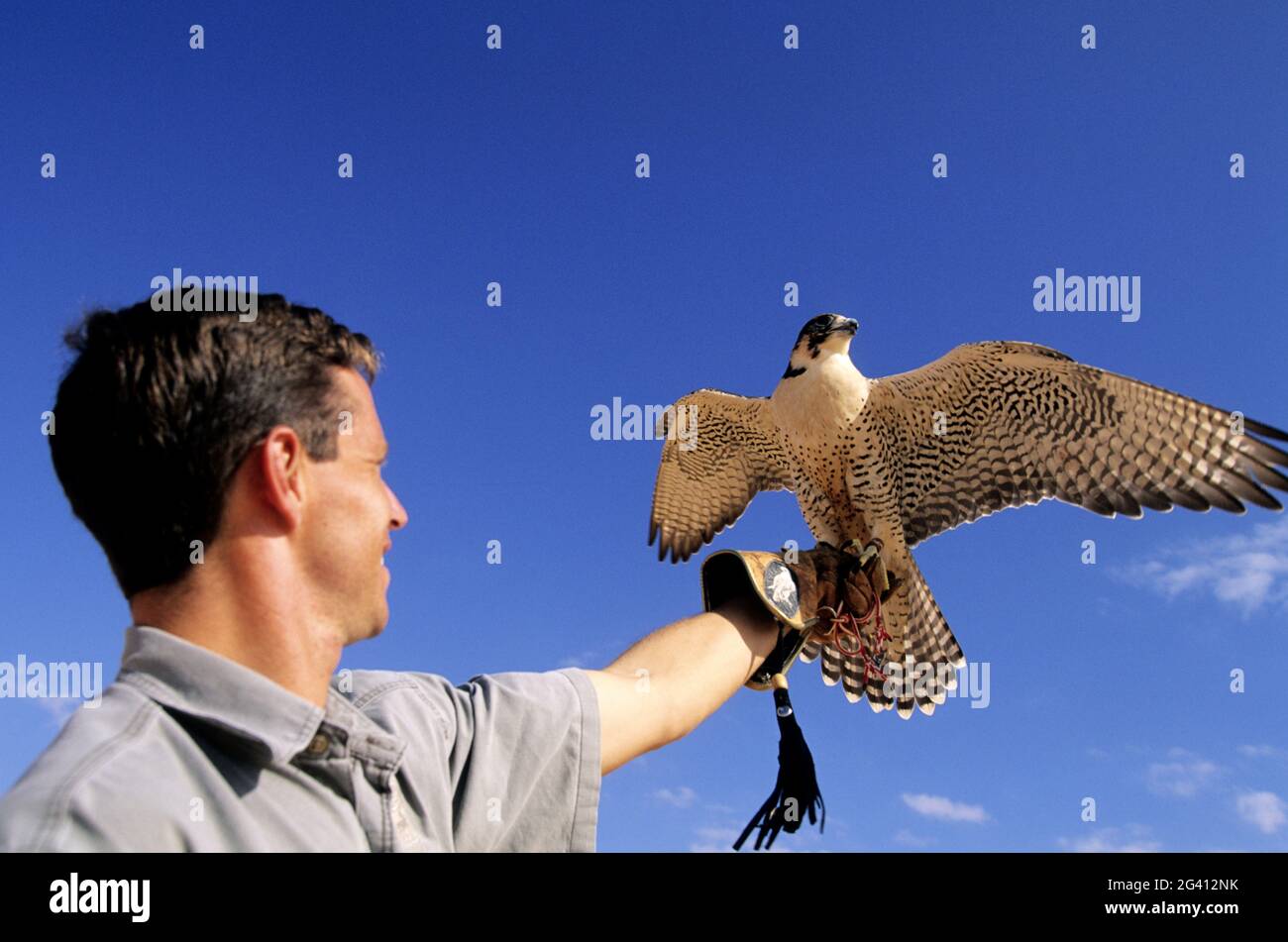 DUBAI (UNITED ARAB EMIRATES) AL MAHA HOTEL, LUXURY CAMP IN THE DESERT ...