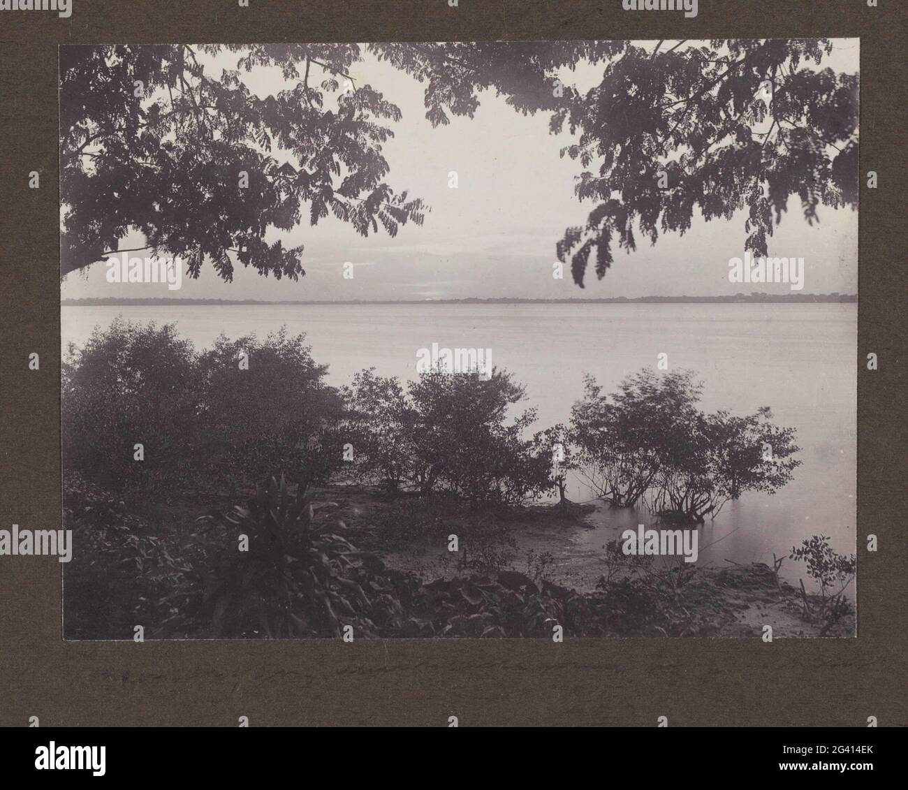 River face. Face over a wide river at sunrise or downfall. Part of a ...